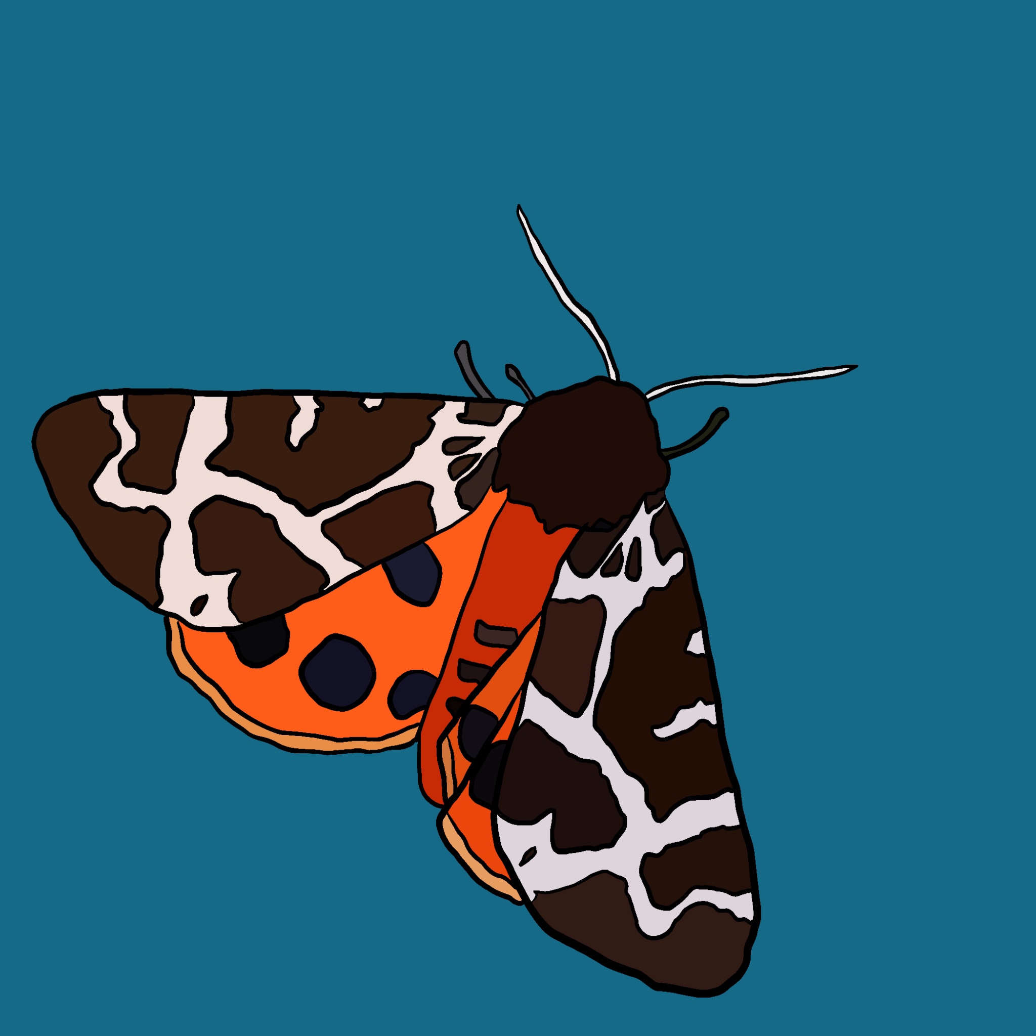 The Hidden World of Animal Sounds – The Three Magazine